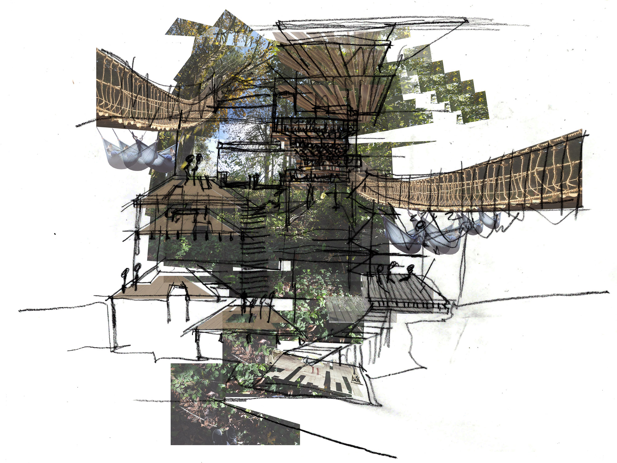 AU_18_505D_Crotty_Hook_Myer_06 - Architecture